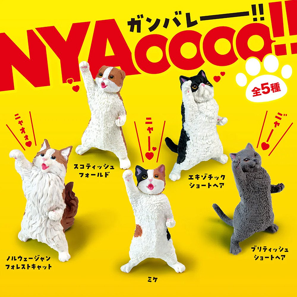 NYAOOOO!! Celebration Cat Blind Box – Hello Discount Store